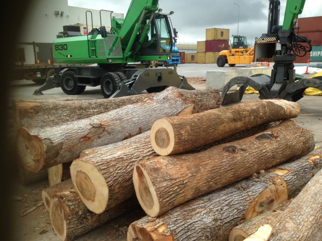 Camphor Laurel Wood | NIF Internasional