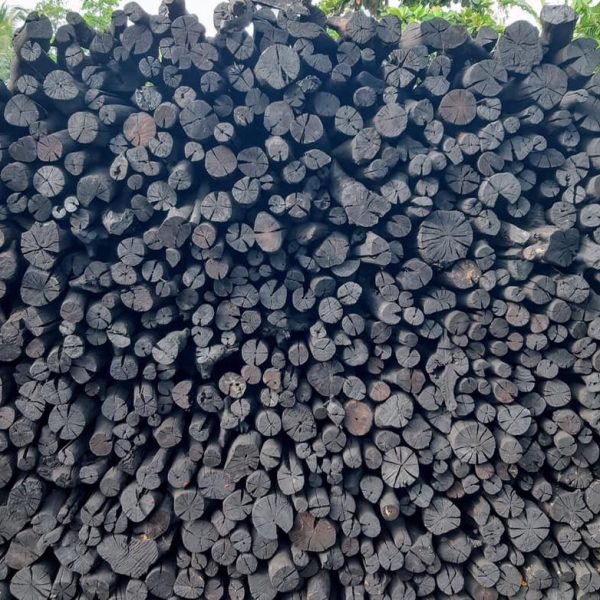 The characteristics of Sengon wood and its types and prices | NIF ...