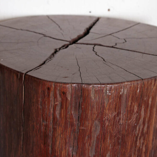 The characteristics of Sengon wood and its types and prices | NIF ...